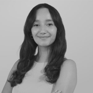 TAEF FELLOWS PROGRAM