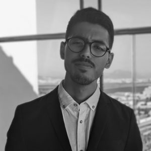 TAEF FELLOWS PROGRAM